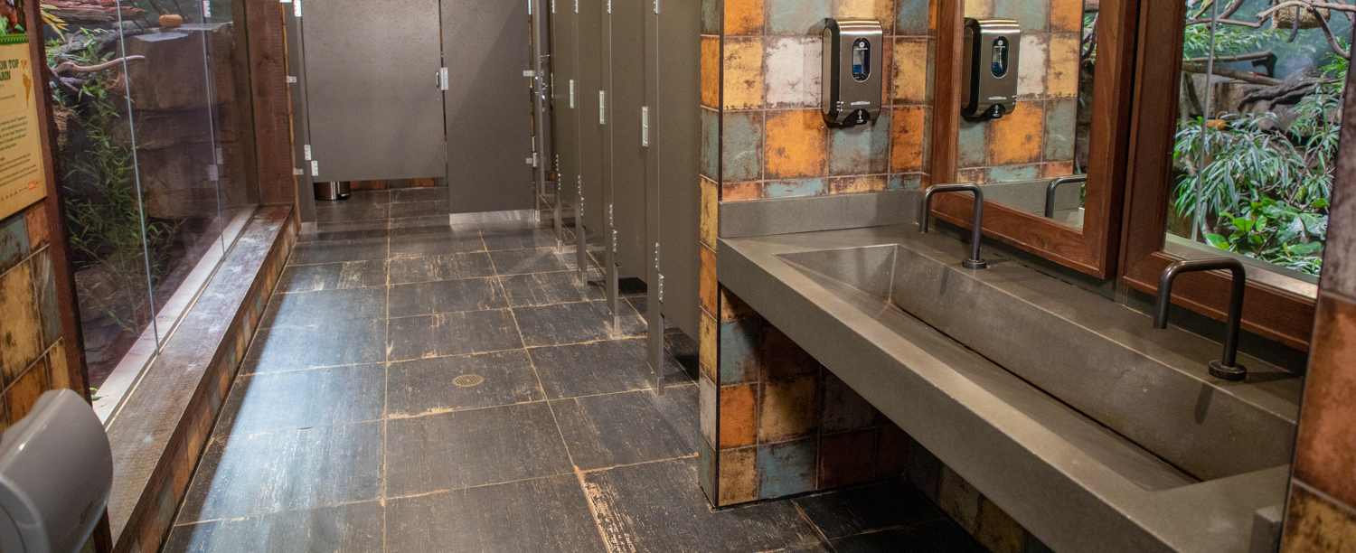 No Lion, Cintas Crowns Nashville Zoo America’s Best Restroom® - Cintas ...